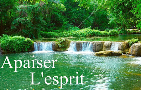 Le jardin de nos couleurs – Soins reiku, aromathérapie